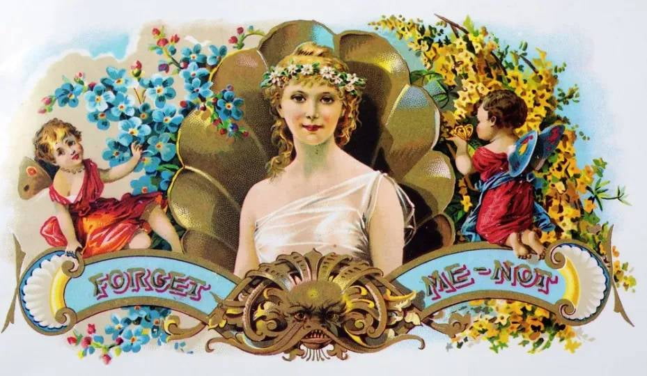 Forget me Not Decor Poster.Cigar label Art.Room Bar Wall Interior ...