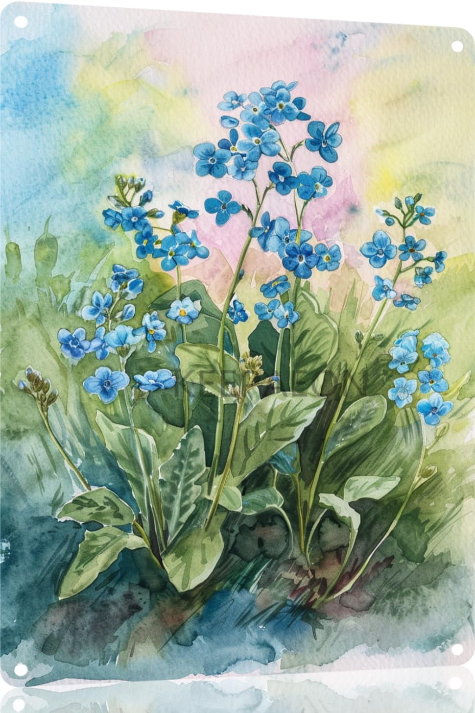 Forget-me-not 12x8 Inch Aluminum Signs Wildflower Wall Sign Vintage ...