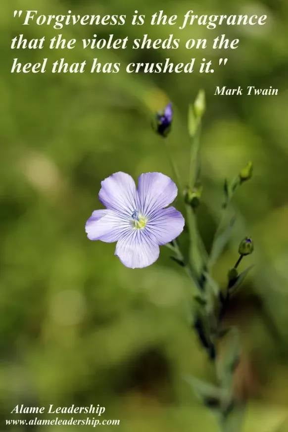 .Forgiveness is the fragrance.mark.twain.flower.POSTER.Decoration ...