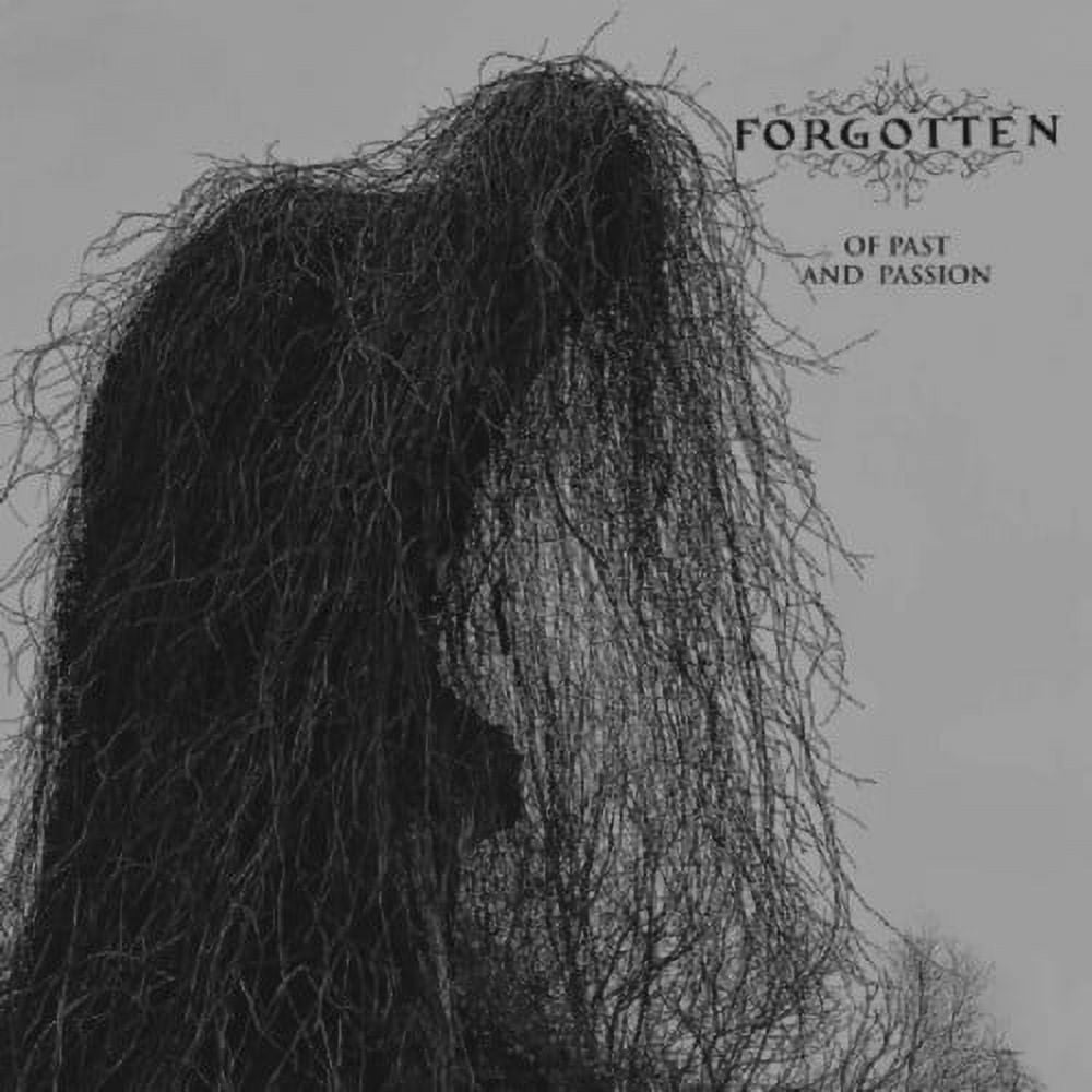 Forgotten - Of Past And Passion - Music & Performance - CD - Walmart.com