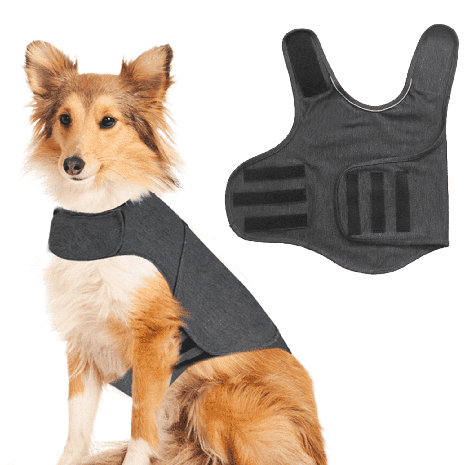 Forievic Dog Anxiety Jacket | Vet Recommended Calming Solution Vest for ...
