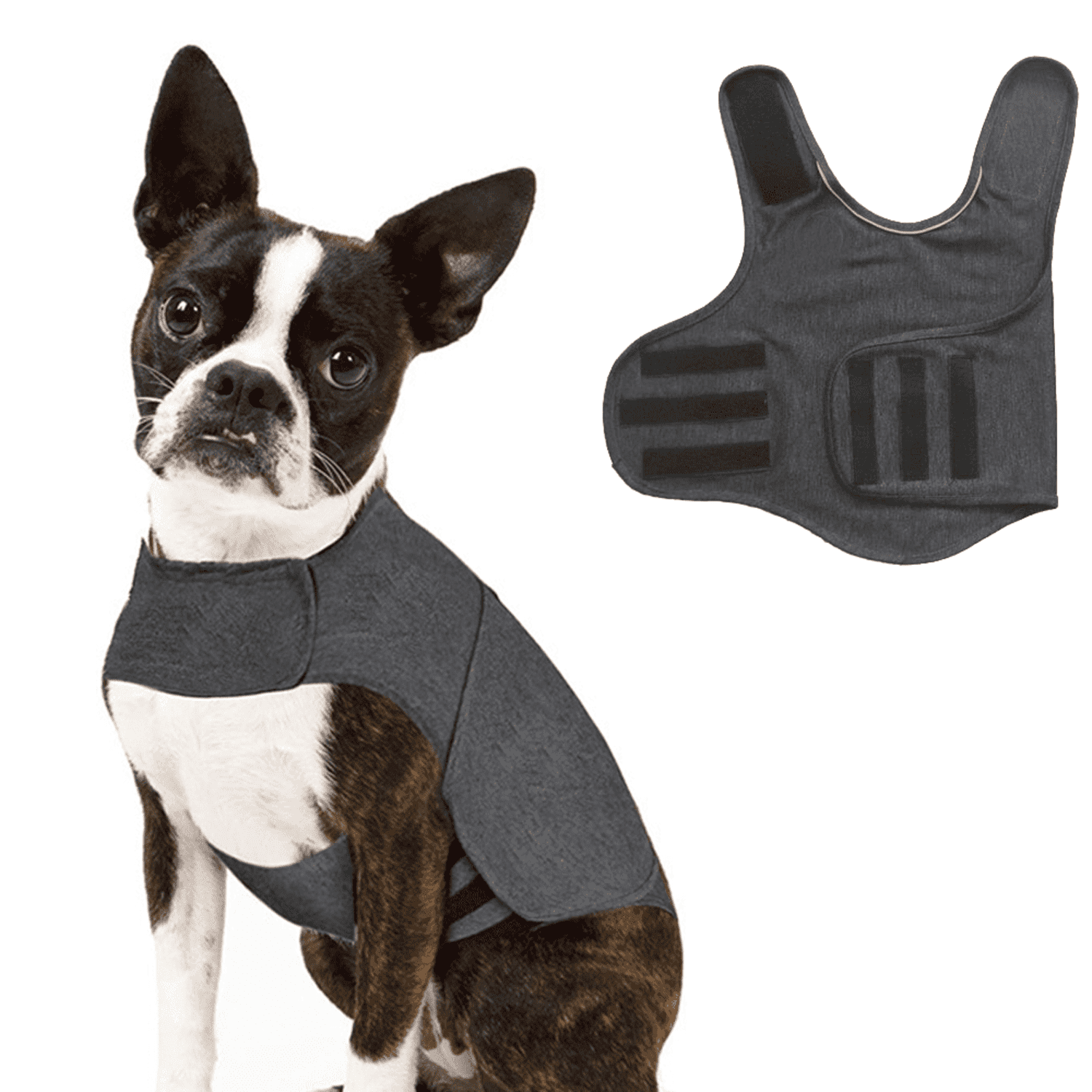 Forievic Dog Anxiety Jacket | Vet Recommended Calming Solution Vest for ...