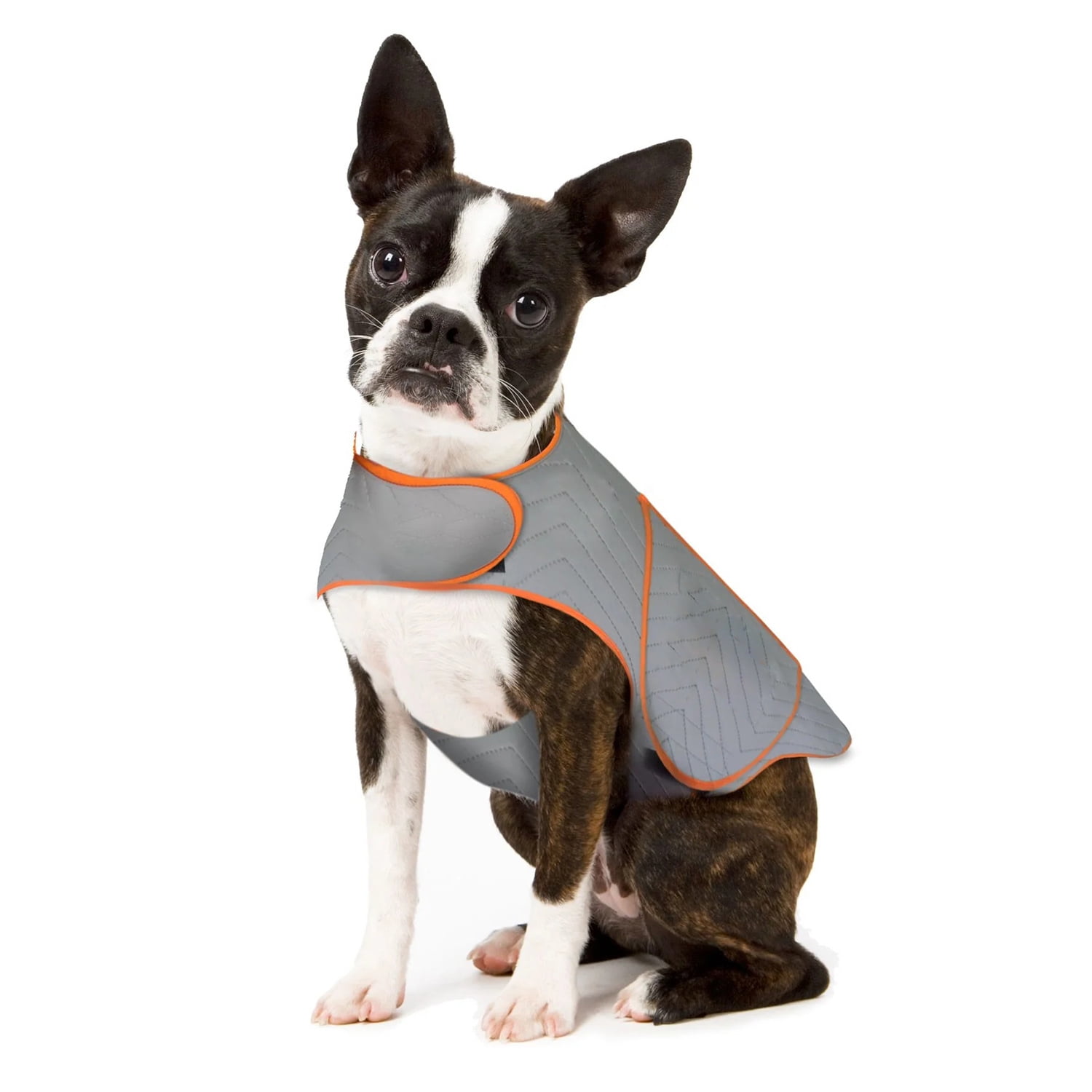 Forievic Dog Anxiety Jacket, X Small, Platinum Sport - Dog Anxiety ...