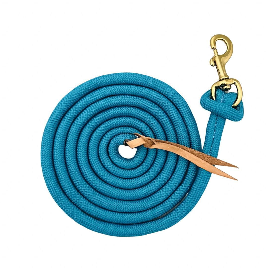 Formay 10 Foot Nylon Lead Rope Turquoise - Walmart.com