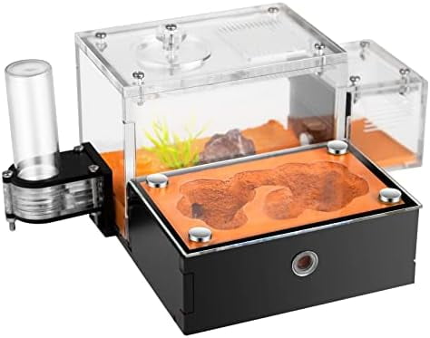 Formicarium - Ant Farm Habitat for Live Ants & Queen, Adult Educational ...