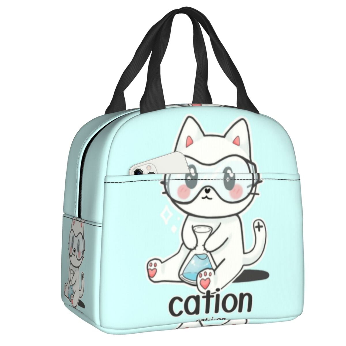 Formulas Physics Chemistry Teacher Professor Insulated Lunch Bag for ...