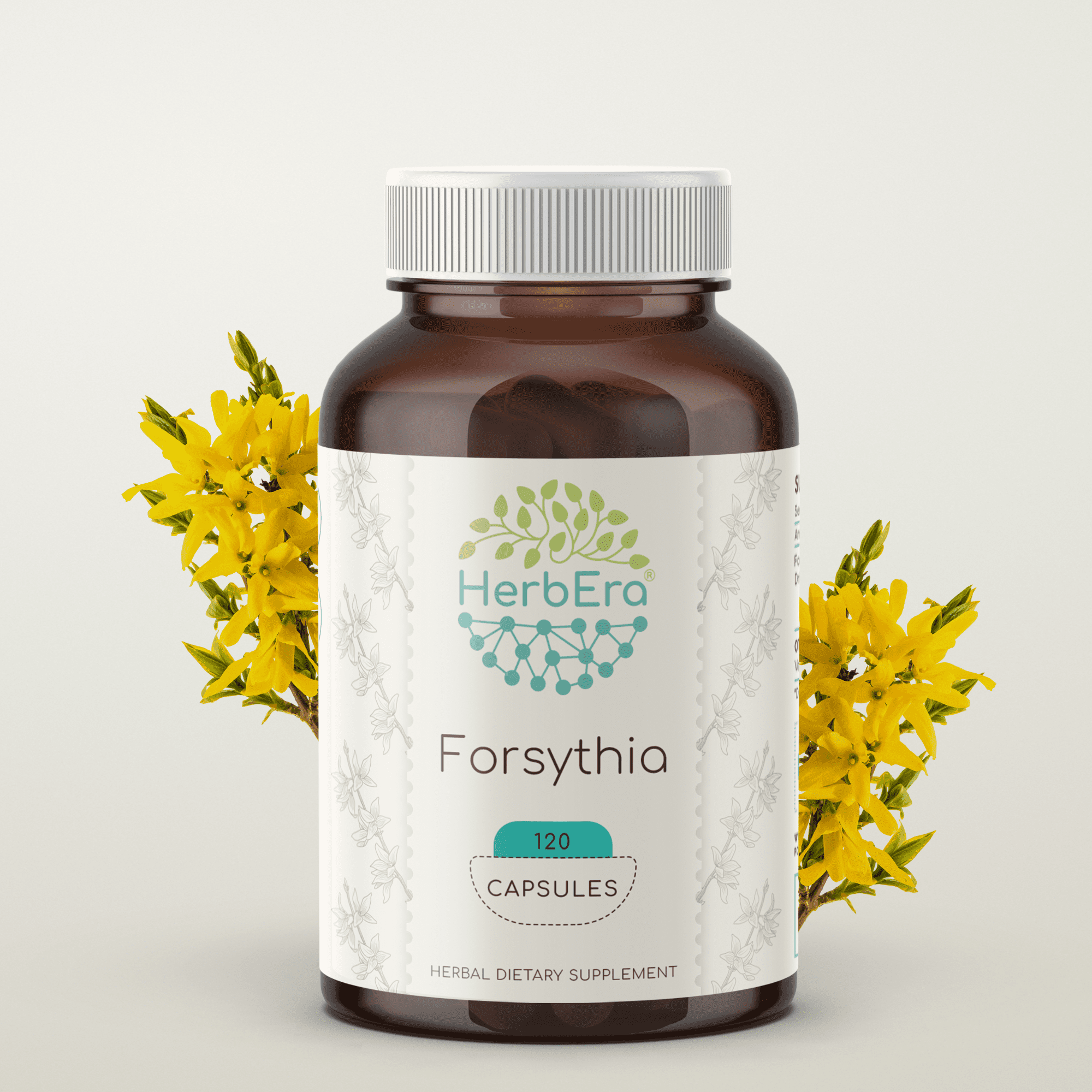 Forsythia 120 Capsules, 500 mg, Organic Forsythia (Lian Qiao, Forsythia ...