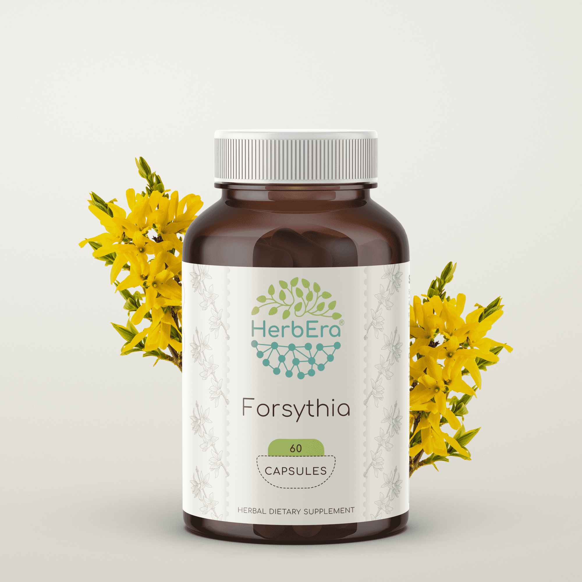 Forsythia 60 Capsules, 500 mg, Organic Forsythia (Lian Qiao, Forsythia ...
