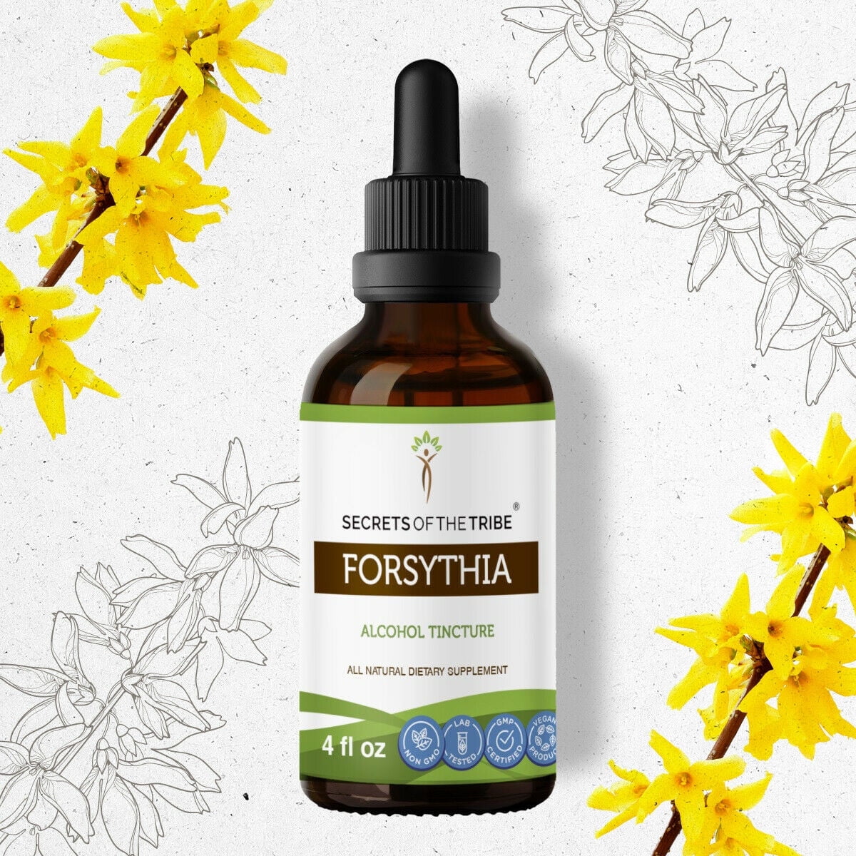 Secrets Of The Tribe Forsythia Tincture Dietary Supplement, Natural ...