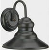 Aztec Lighting Transitional 1-light Olde Bronze Outdoor Wall Lantern ...