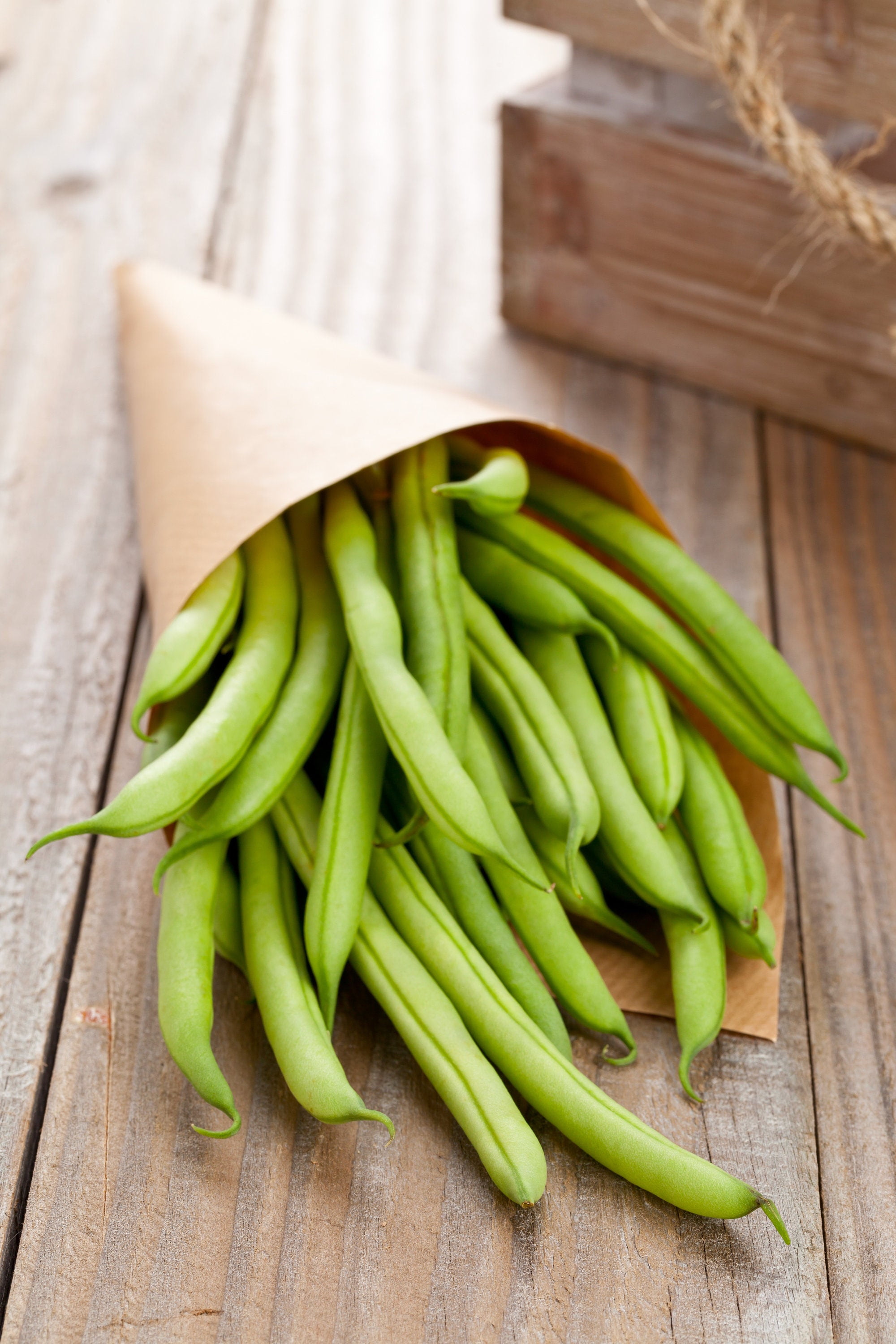 Sherwood's Seeds 20 Fortex Vining French Green Bean Plant Seeds ...