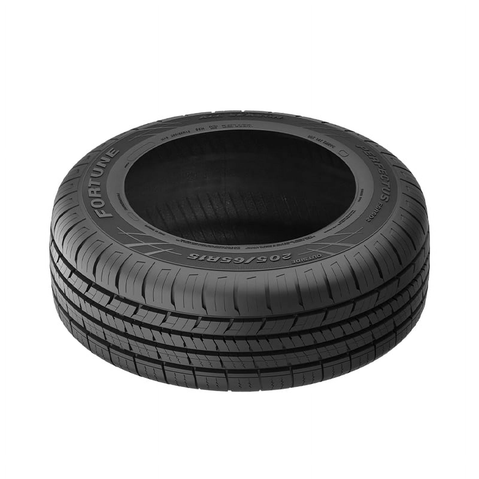 1 X New Fortune PERFECTUS FSR602 A/S 205/65R16 95H Tires - Walmart ...