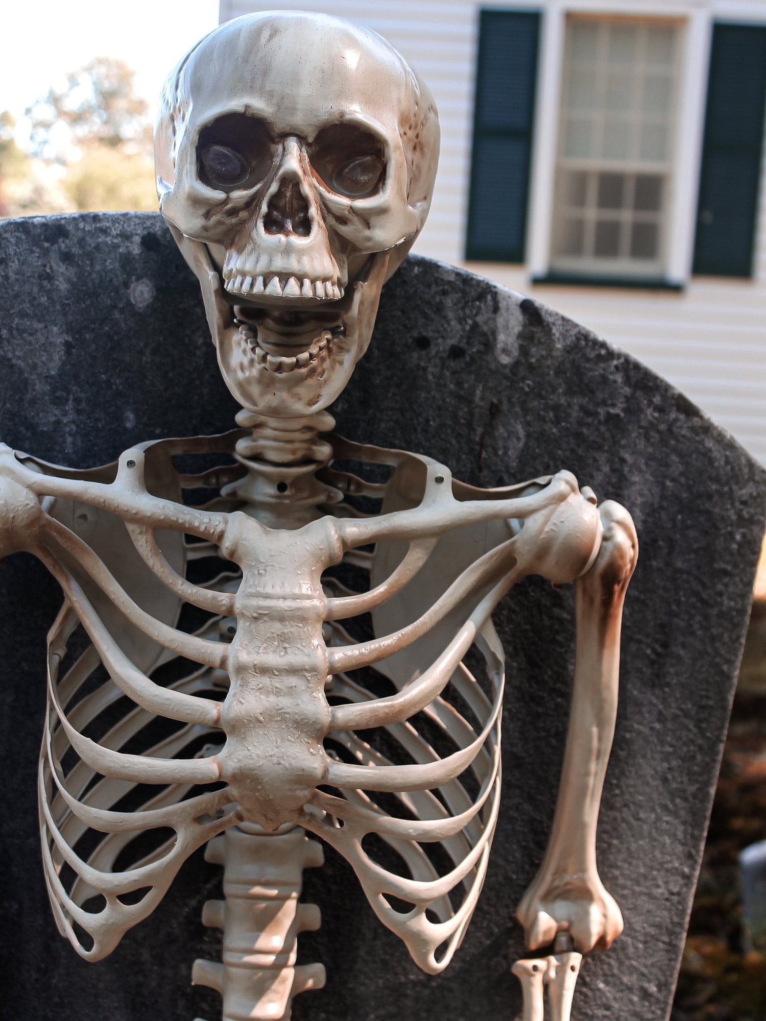 Rubies 60in Posable Skeleton Halloween Decoration, Life-Size Outdoor ...