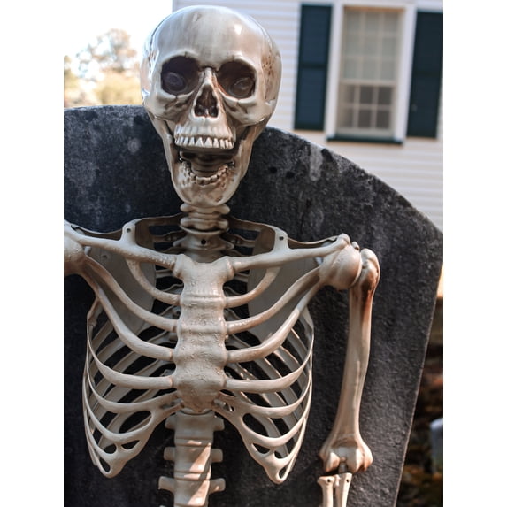 Rubies 60in Posable Skeleton Halloween Decoration, Life-Size Outdoor ...