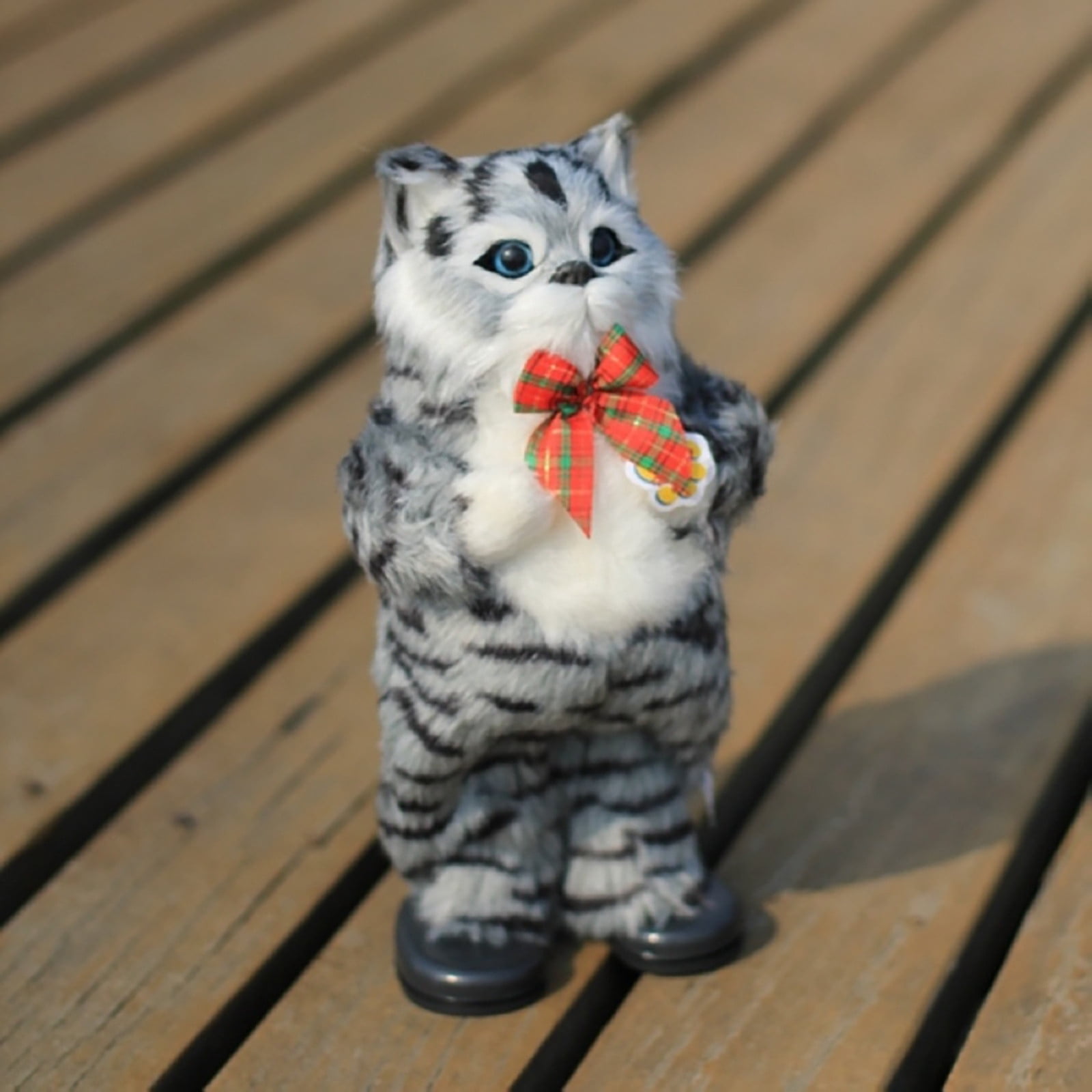 Foruneed Rolling Cats Dancing Cats Can Roll Cats Rolling And Laughing ...