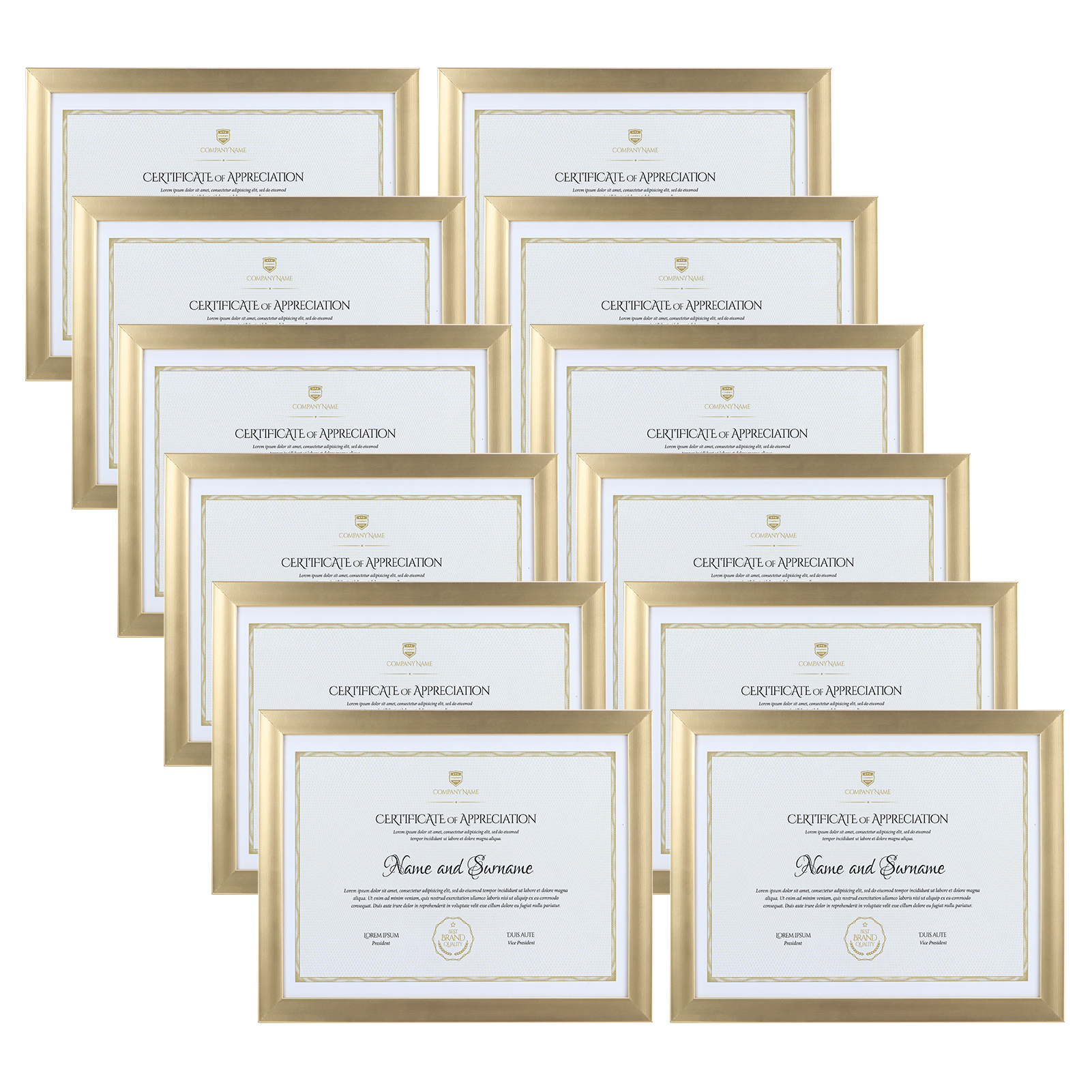 Campusimages FL985LV Florida State University Legacy Scholar Diploma ...