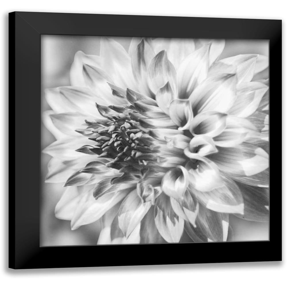 Foschino, Suzanne 12x12 Black Modern Framed Museum Art Print Titled ...
