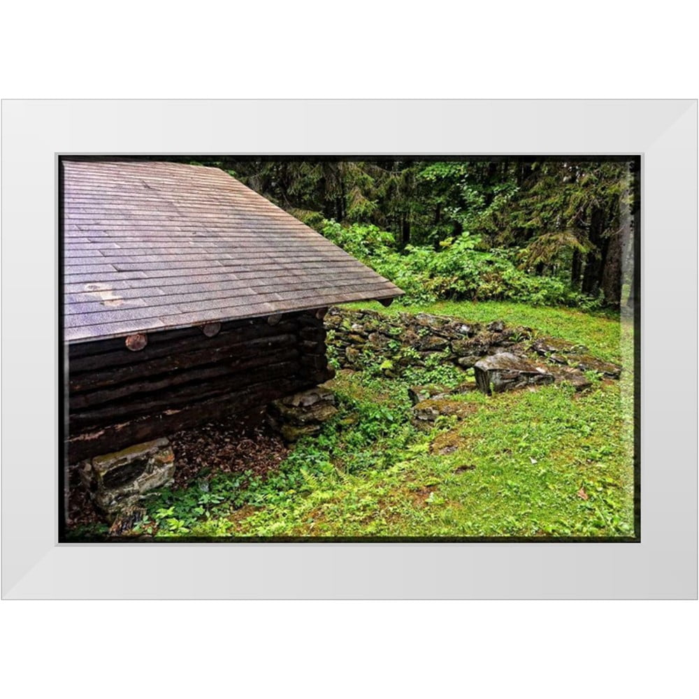 Foschino, Suzanne 24x17 White Modern Wood Framed Museum Art Print ...