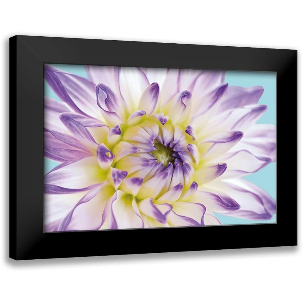 Fossey, George 24x17 Black Modern Framed Museum Art Print Titled ...