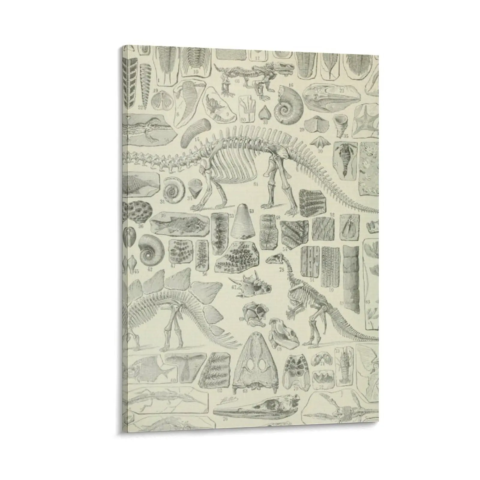 Fossil Chart Canvas Painting pictures for wall anime posters ration for ...