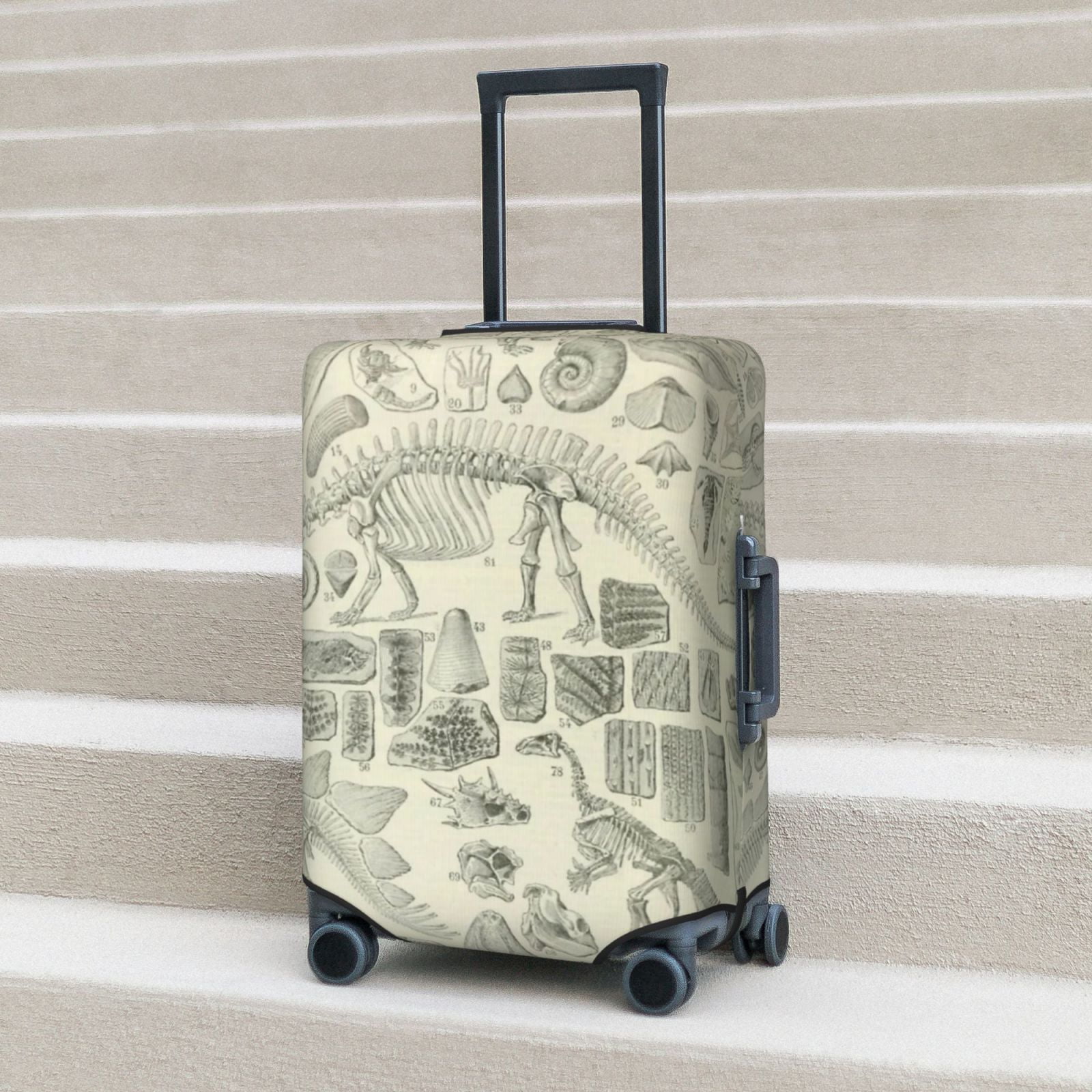 Fossil Chart Luggage Covers Suitcase Cover Fashion Travel Essentials 18 ...