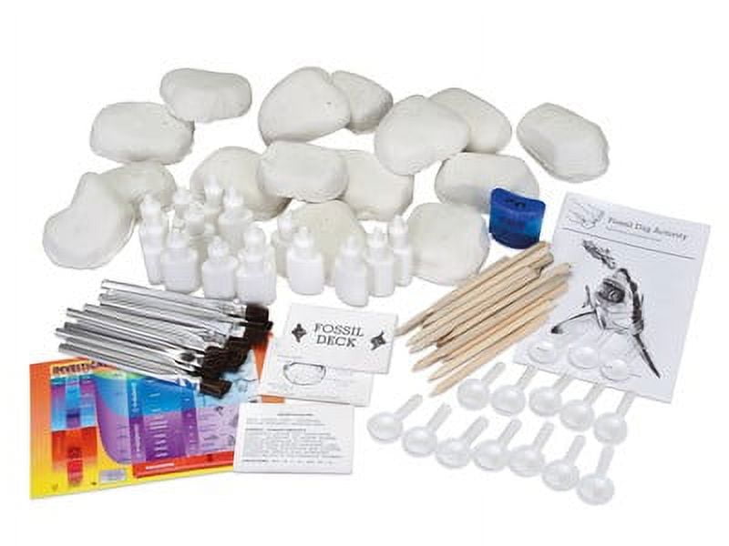Fossil Dig Classroom Project for the Paleontology Enthusiast. - Walmart.com