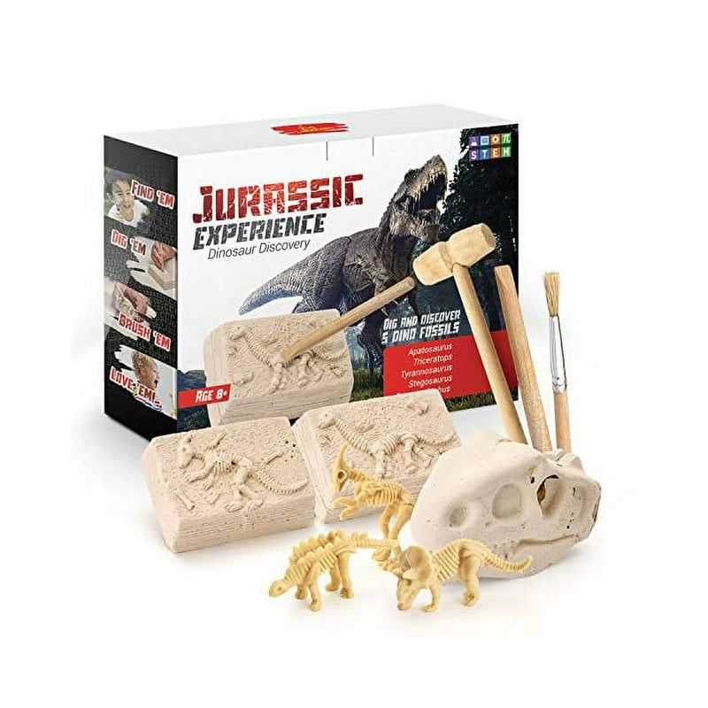Fossil Dig Kit – Excavation Set with 5 Dinosaur Skeletons, Tools ...