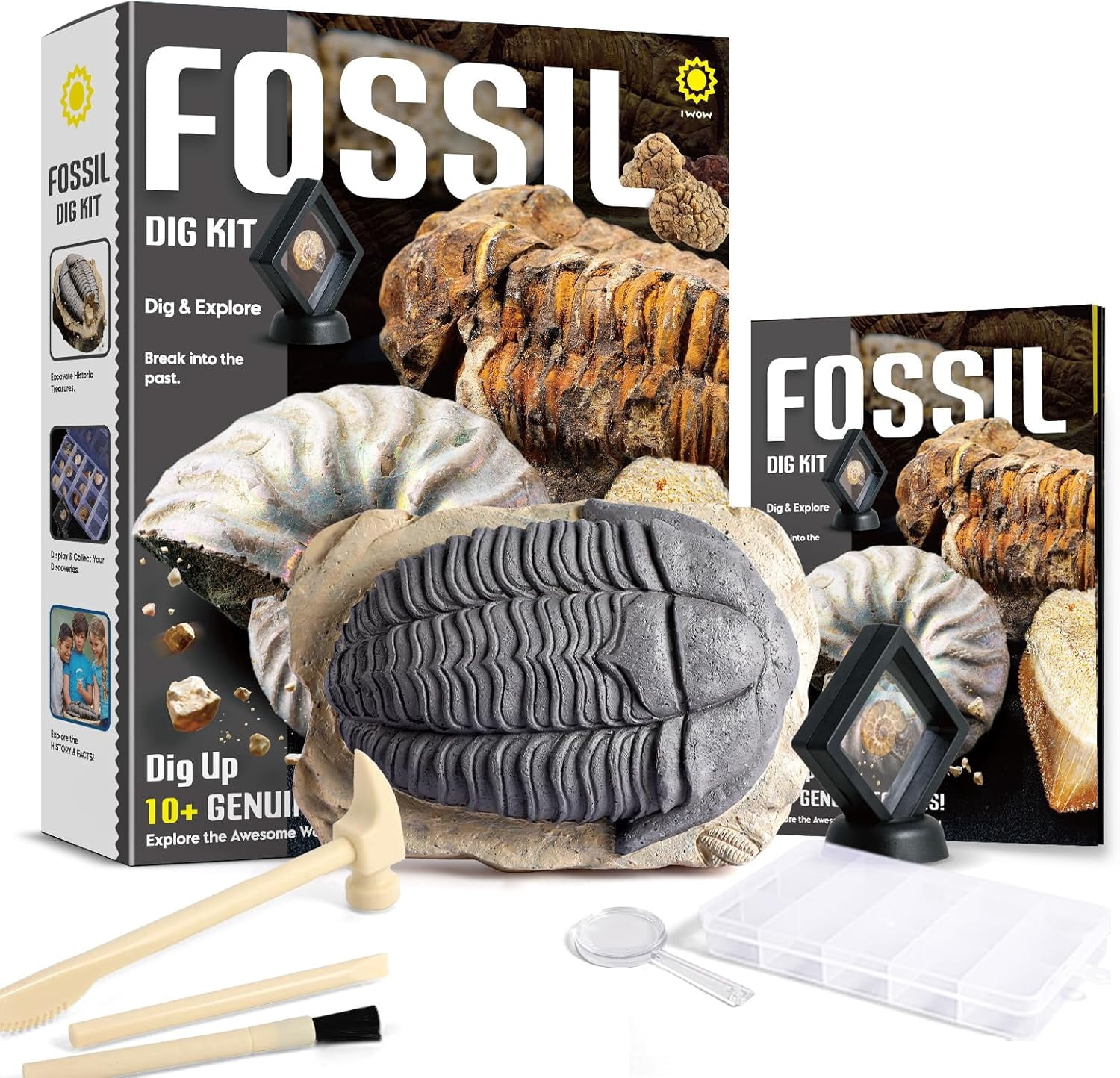 Piano Potato Mega Fossil Dig Kit for Kids,12 Real Fossils (Shark Teeth ...