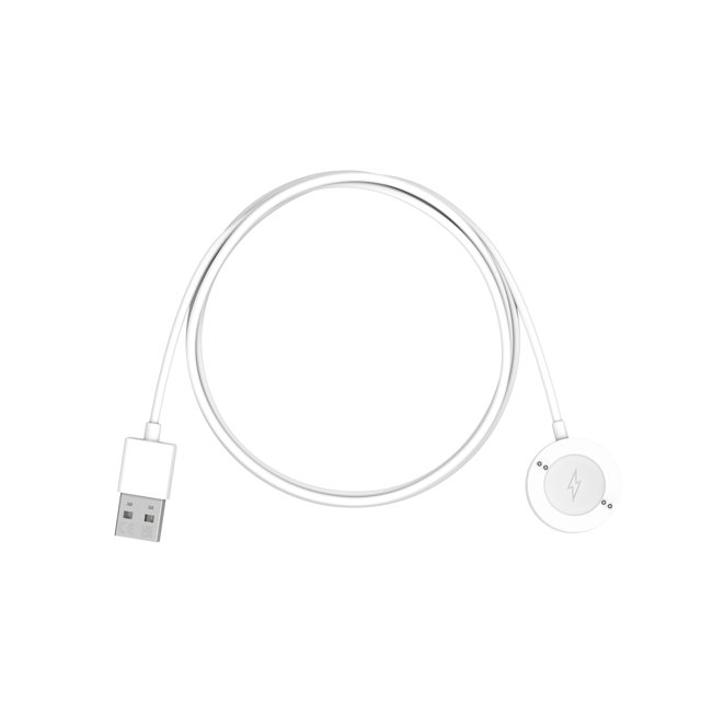 Fossil Gen 6 Smartwatch Charger (FTW0006) - Walmart Business Supplies