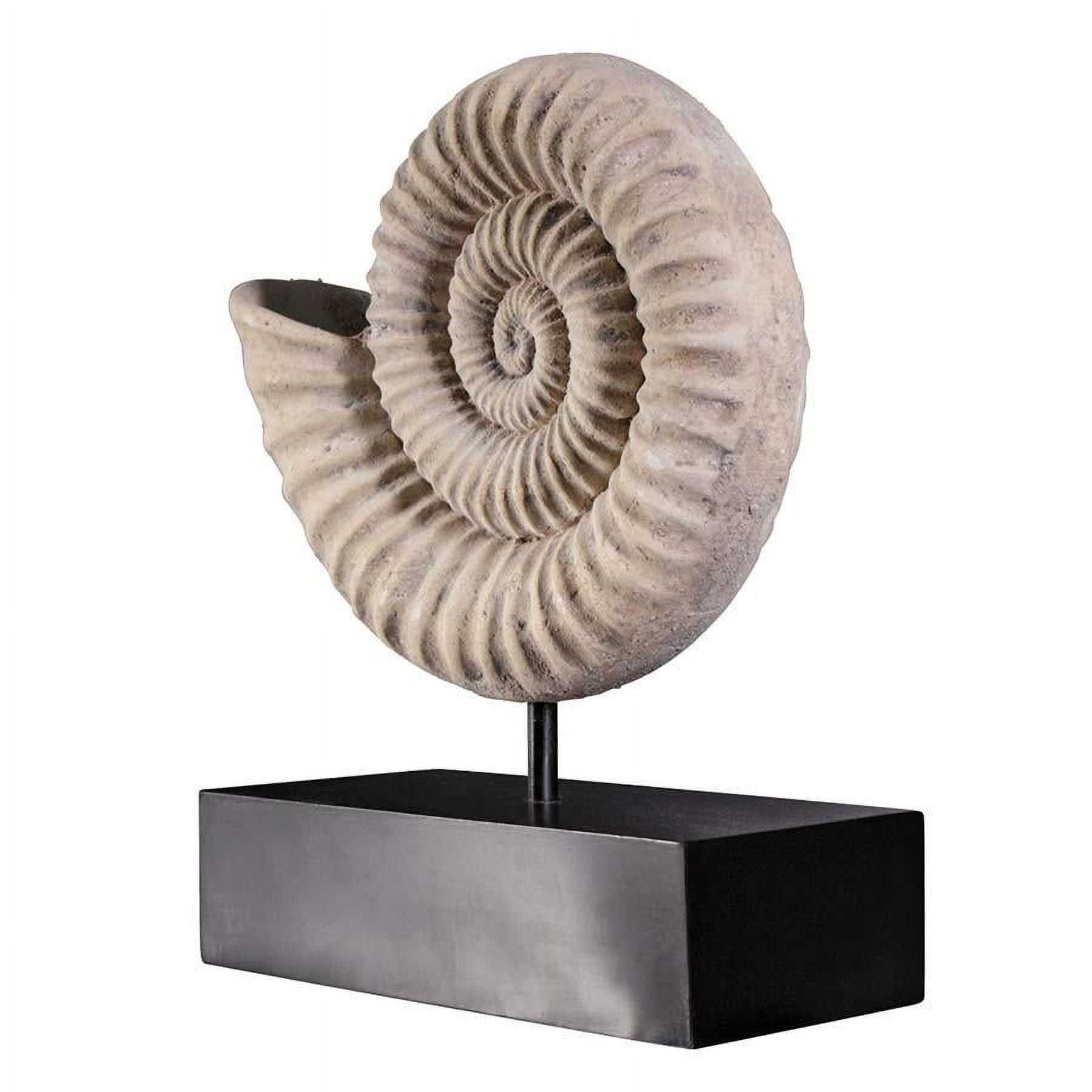 Fossil Shell Sculpture on Stand - Walmart.com