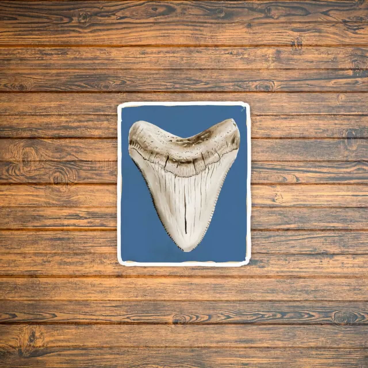 Fossilized Megalodon Shark Tooth Sticker - Prehistoric Ocean Predator ...