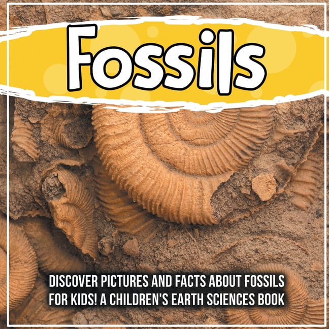 Fossils : Discover Pictures and Facts About Fossils For Kids! A ...