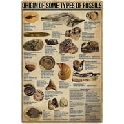Fossil Signs