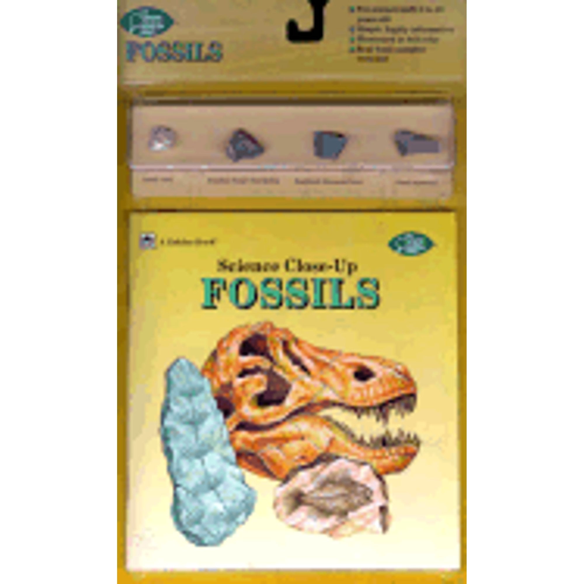 Fossils (Paperback) by Robert A Bell - Walmart.com