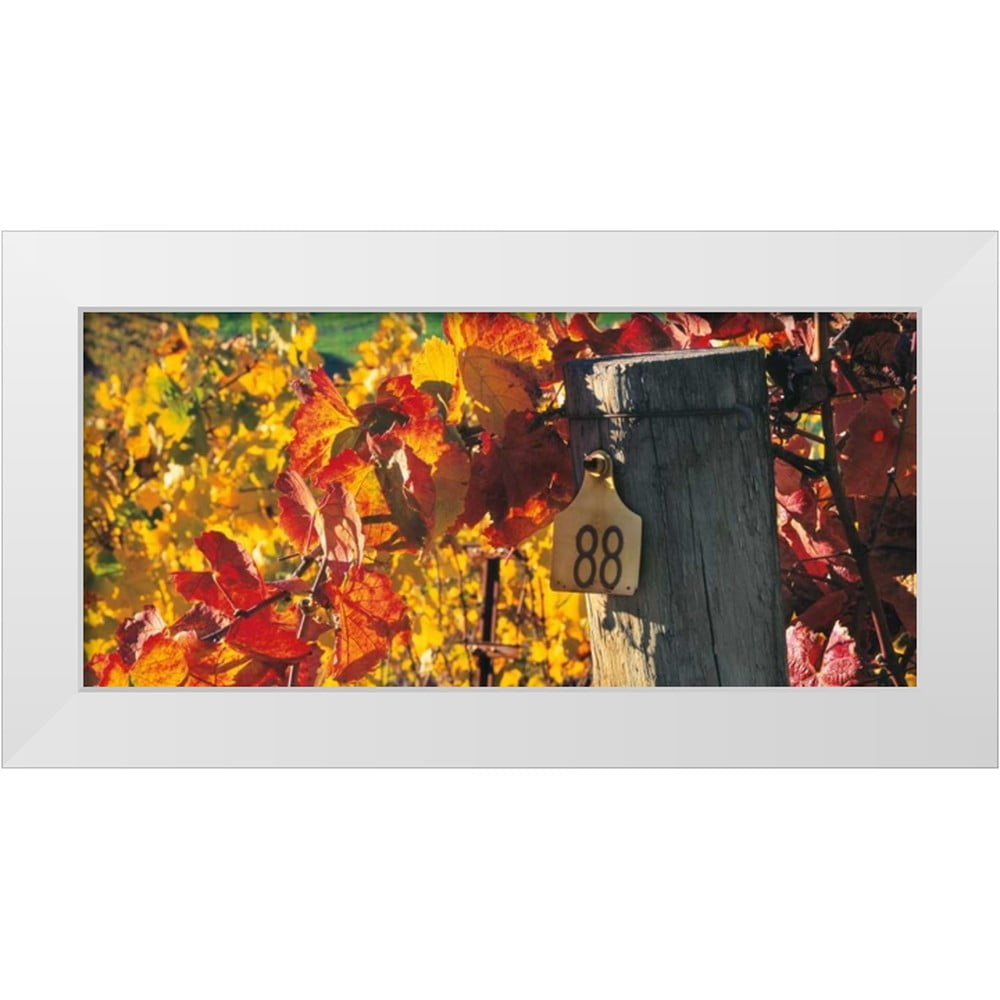 Foster, Christopher 14x9 White Modern Wood Framed Museum Art Print ...