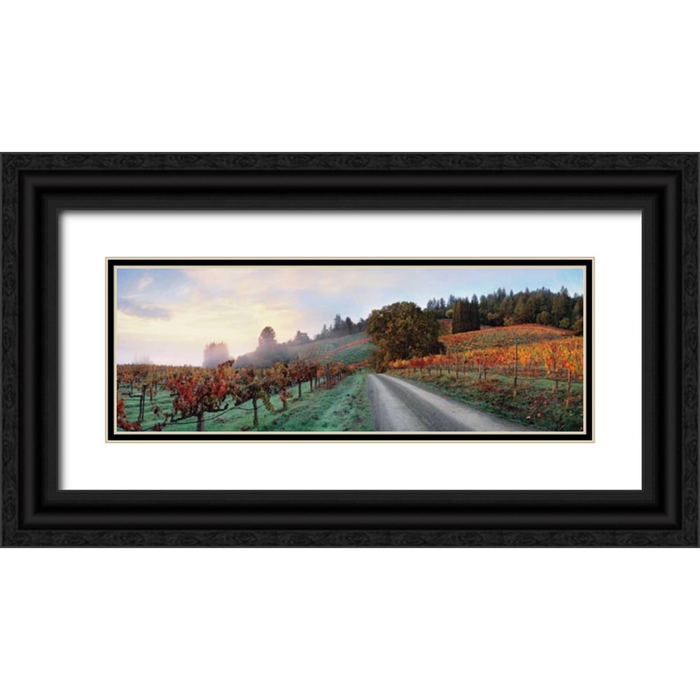 Foster, Christopher 24x11 Black Ornate Wood Framed with Double Matting ...