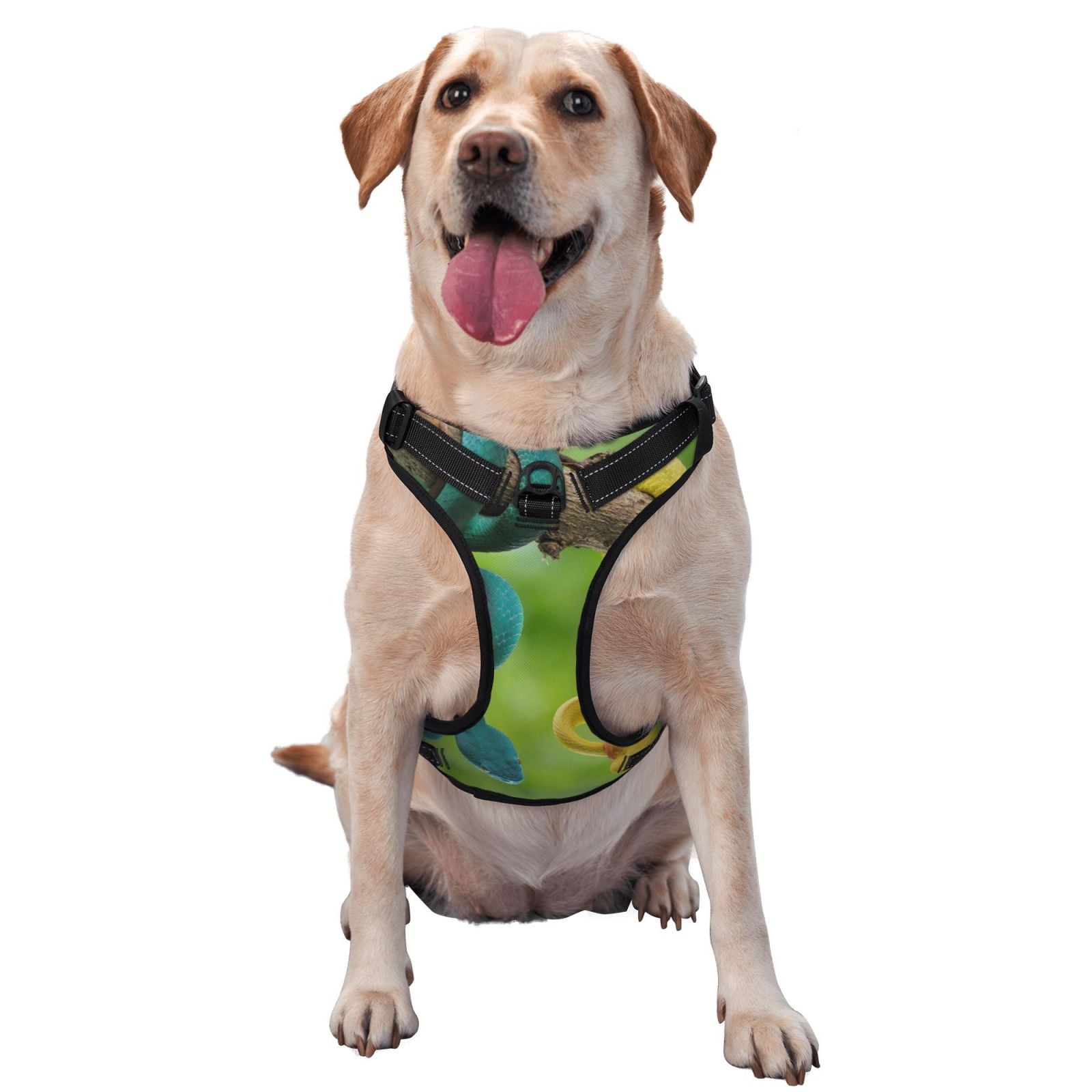 Fotbe Blue Viper And Yellow Viper Snake Pattern Dog Harness, No-Pull ...