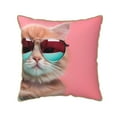 Fotbe Cool Cat Pink Sunglasses Pattern Velvet Decorative Throw Pillow