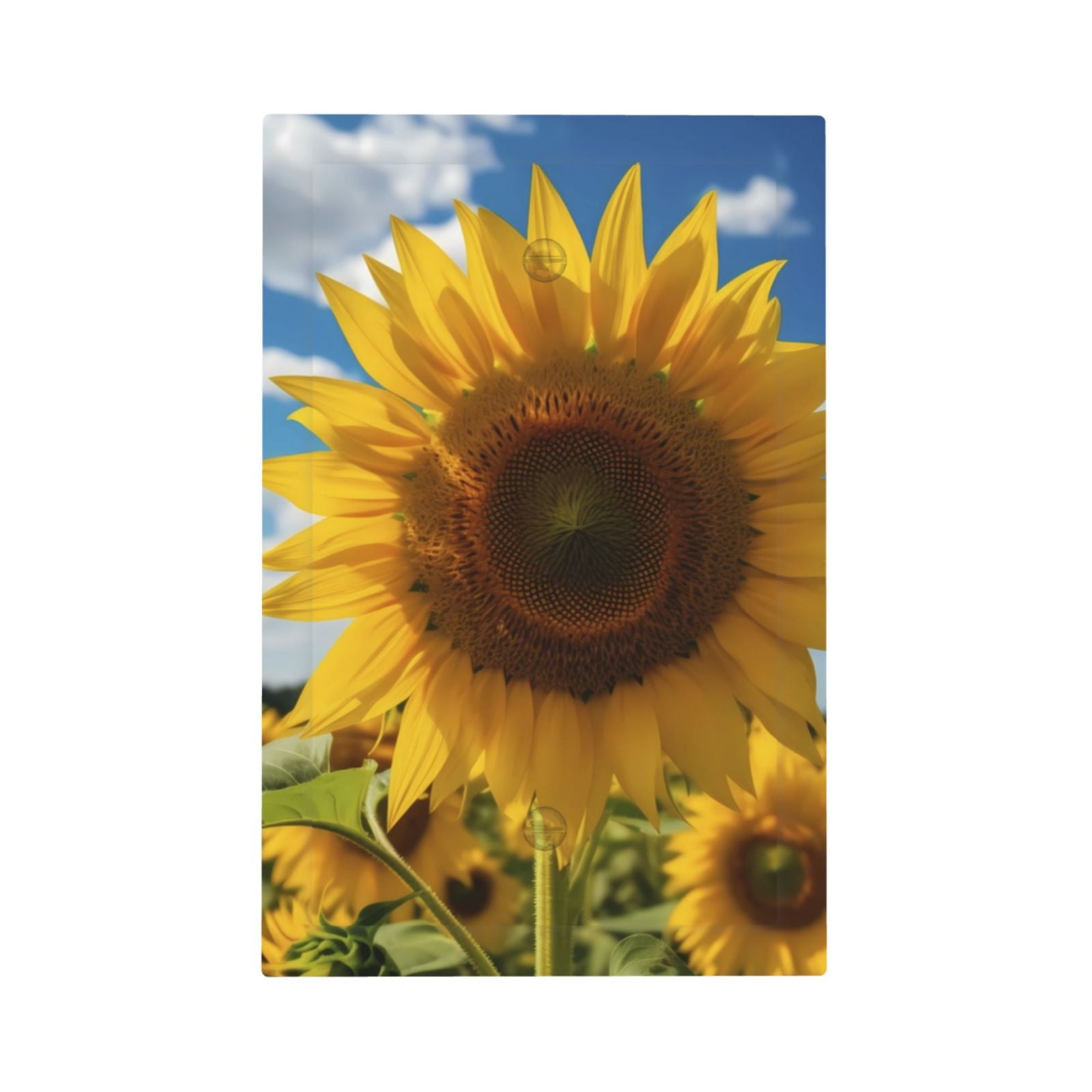 Fotbe Sky Golden Sunflower Field Print Duplex Receptacle Wall Plate, 1 ...