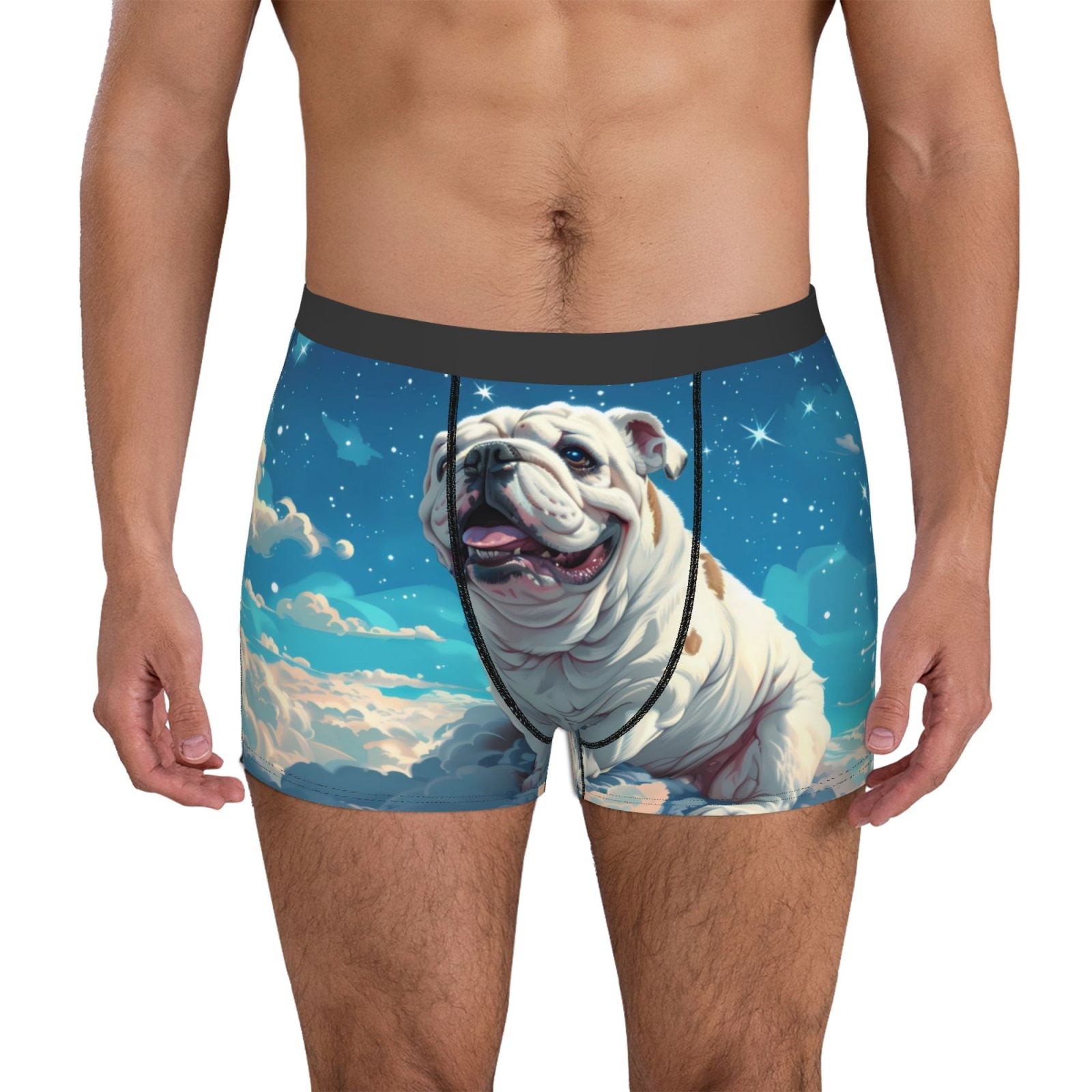Fotbe Starry Sky Cloud Bulldog Men’s Total Support Pouch Boxer Briefs, X-Temp Cooling, Moisture ...