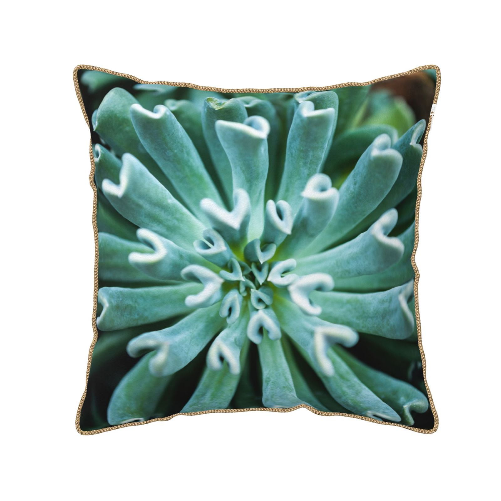 Fotbe Teal Cactus Pattern Velvet Decorative Throw Pillow Covers with Elegant Piping, Soft Plush ...