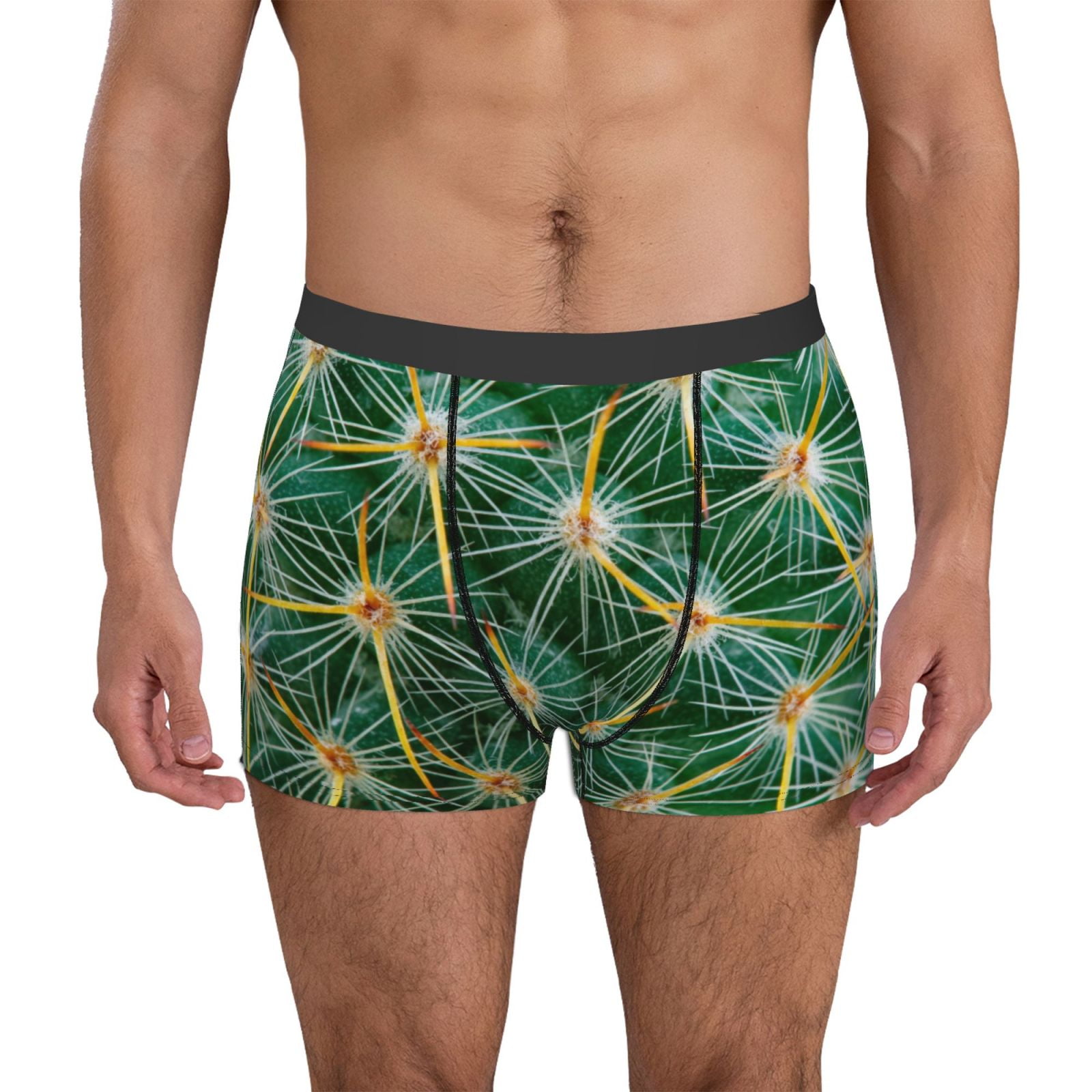 Fotbe Thorns Of Macro Cactus Men’s Total Support Pouch Boxer Briefs, X ...
