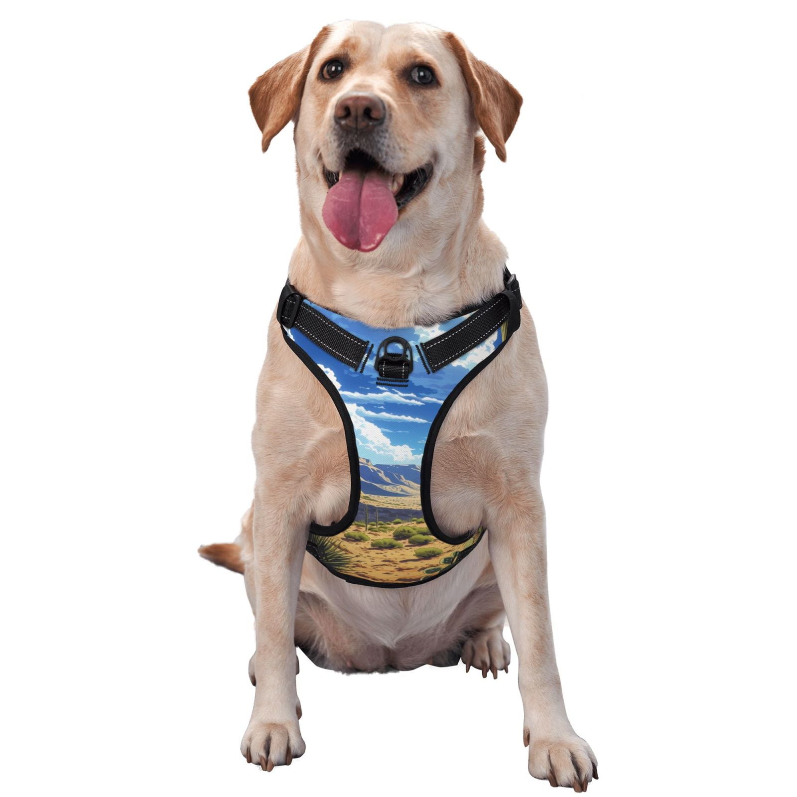 Fotbe Western Desert Cactus Pattern Dog Harness, No-Pull Pet Harness ...