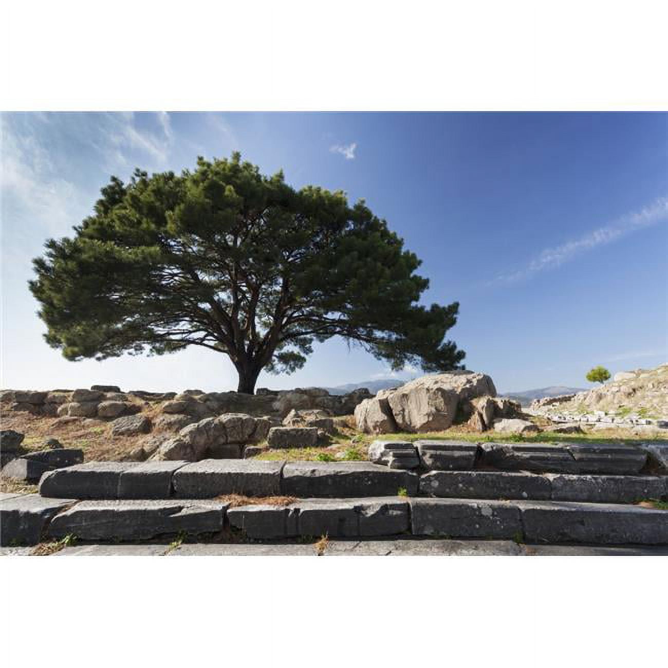 The Foundation of The Great Altar of Zeus The Altar Itself Is in The ...