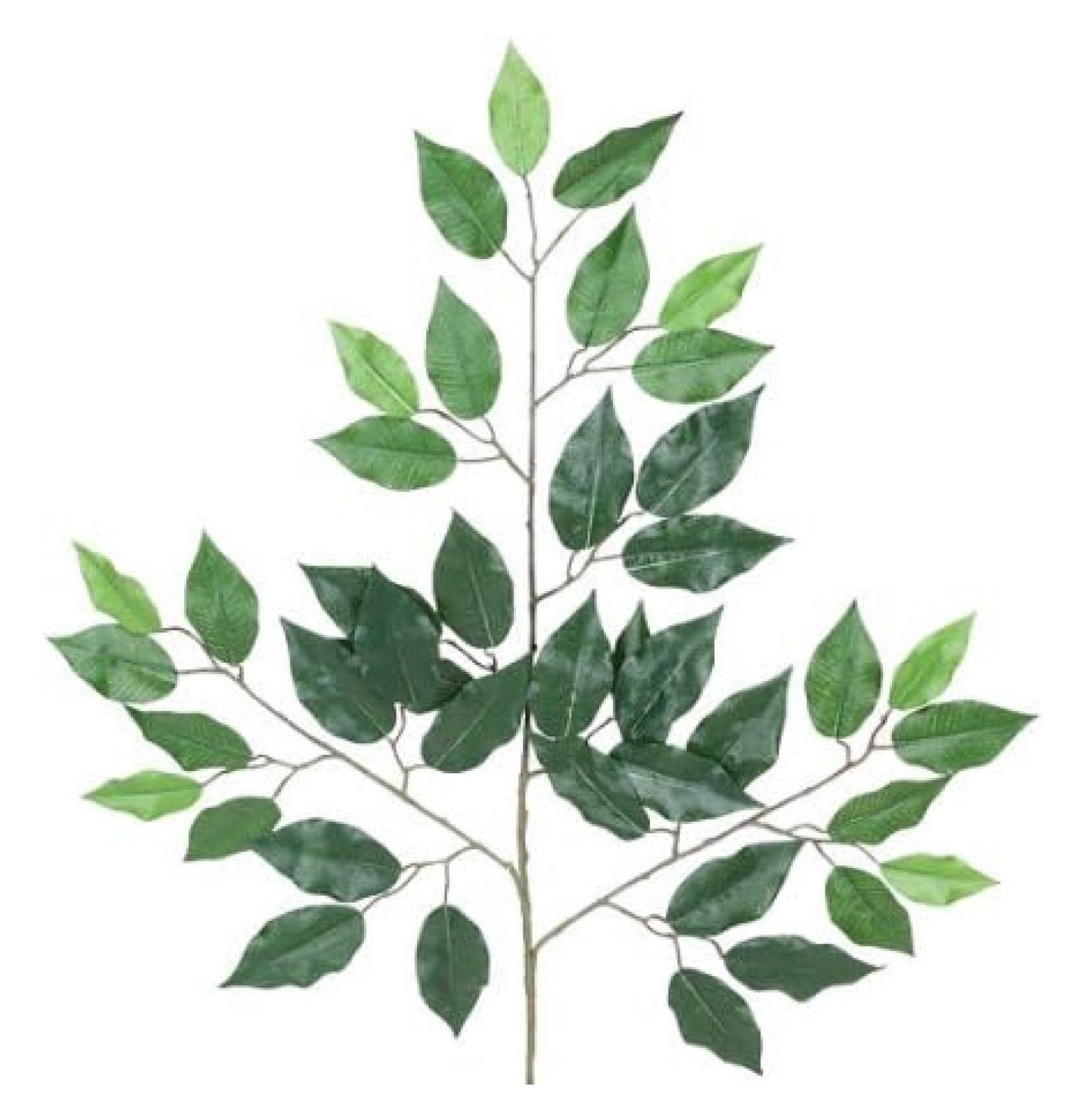 Four Dozen ( Pieces) of 24" Artificial Ficus Spray Each with 42 Leaves ...