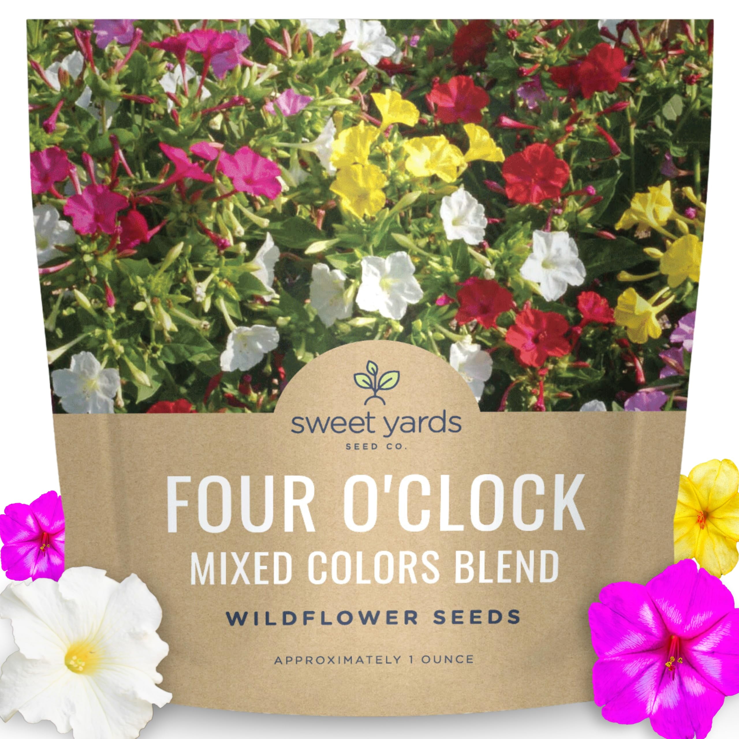 Four O'Clock Mixed Colors Blend - AFN1Large 1 Ounce Packet - 300 Flower Seeds for Planting ...