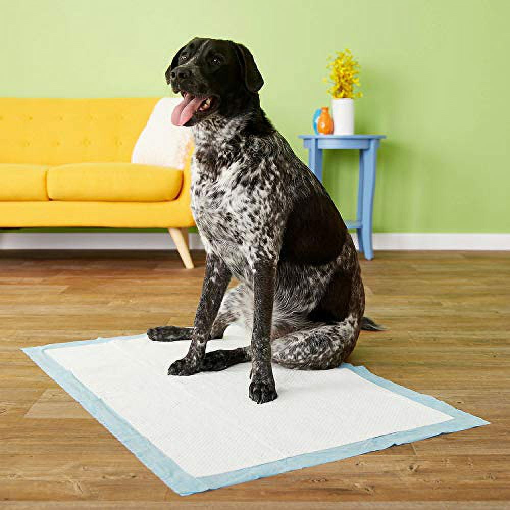 Four Paws Wee-Wee Pads, Gigantic, 18 per Pack (4 Packs) - Walmart.com
