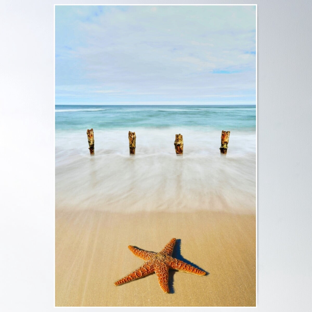 Four Posts Starfish Poster Wall Art, Modern Wall Decor For Living Room ...