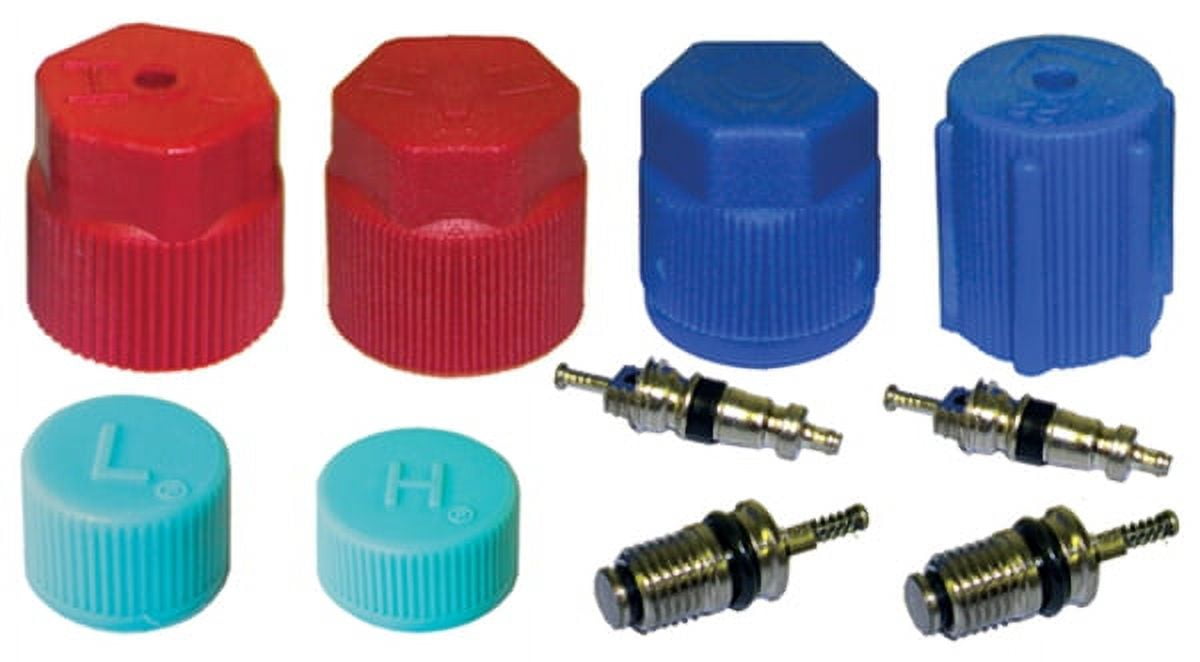 Four Seasons 26783 Cap & Valve A/C System Seal Kit Fits select: 1994 ...