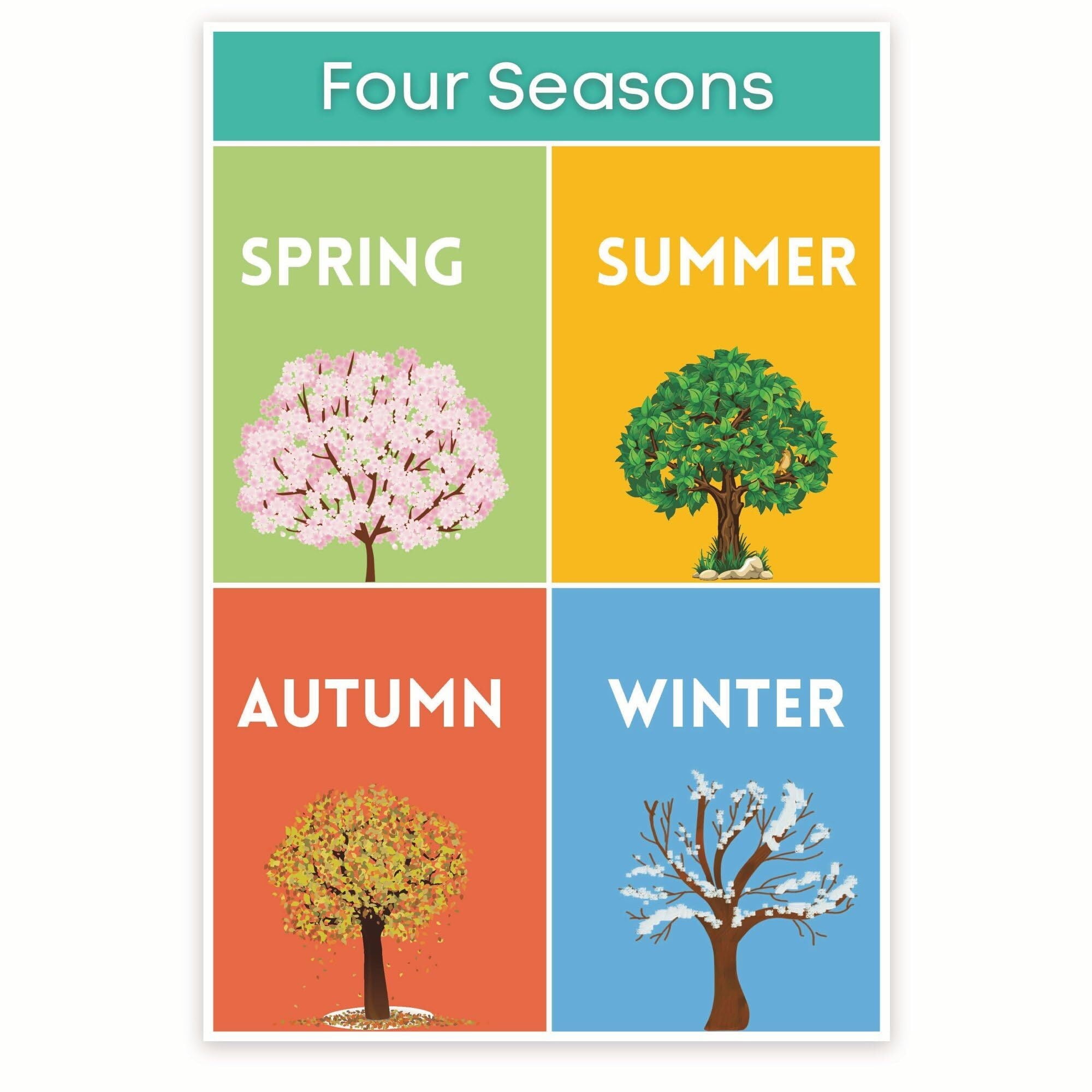 Four Seasons Classroom Resource - Early Learning Poster - Walmart.com